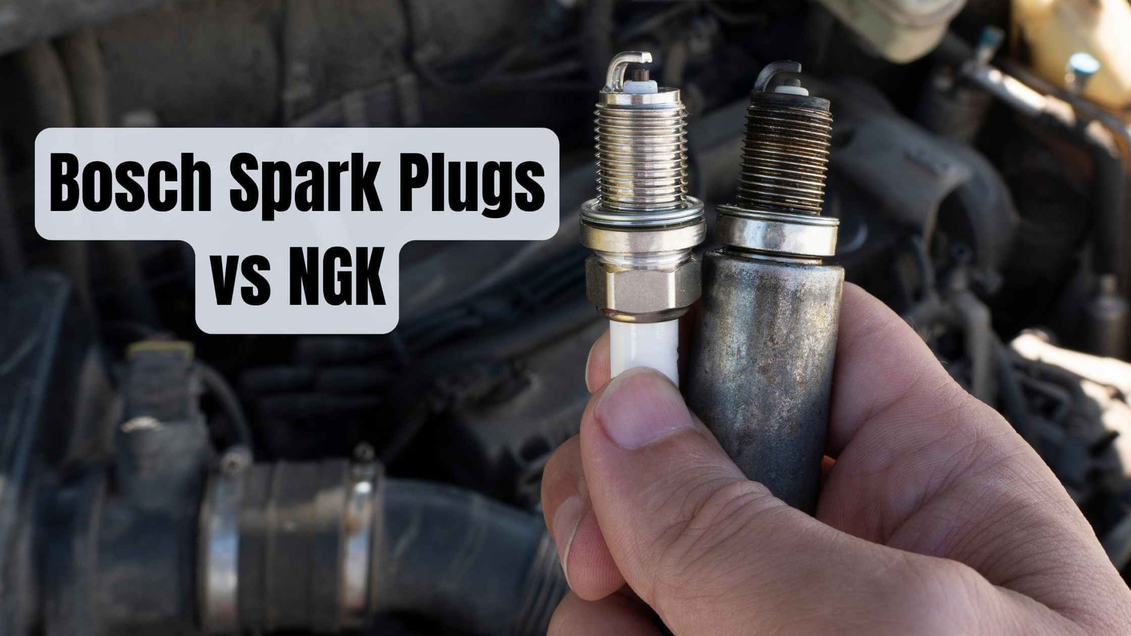 Bosch Spark Plugs vs NGK (Which is Better?)